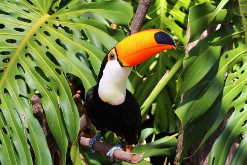 Benalmadena: Selwo Marina Admission Ticket - Key Points