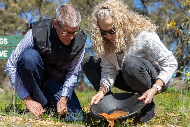 Bendigo Chinese Heritage Tour with Morning Tea Fridays - Final Thoughts