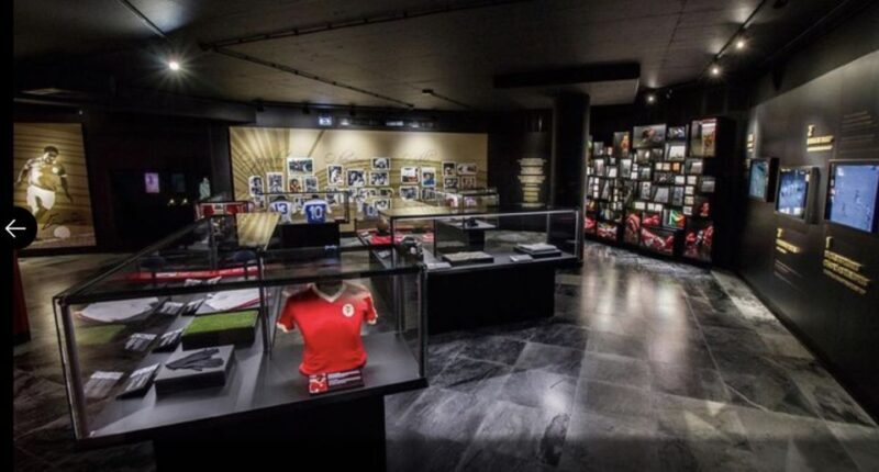 Benfica Stadium and Museum Tour - Who Should Consider This Tour?