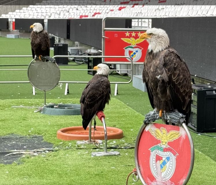 Benfica Stadium and Museum Tour - Final Thoughts