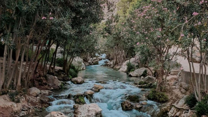 Benidorm: Mountains Half-Day Jeep Trip to Algar Waterfalls - Final Thoughts