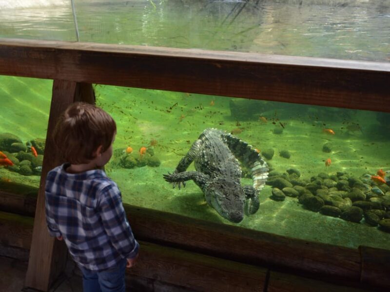 Benidorm: Terra Natura and Aqua Natura Combo Day Ticket - Practical Tips for Your Visit