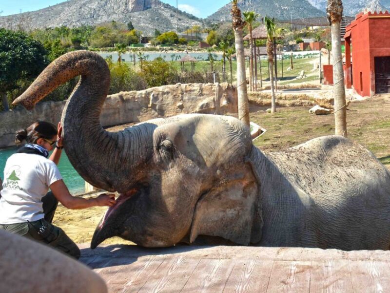 Benidorm: Terra Natura Theme Park 1-Day Tickets - A Closer Look at the Park’s Highlights