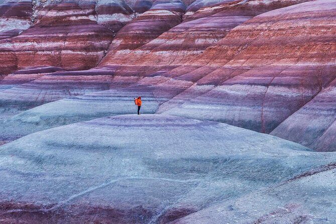 Bentonite Hills 4X4 Offroad Private Tour - Who Should Consider This Tour?