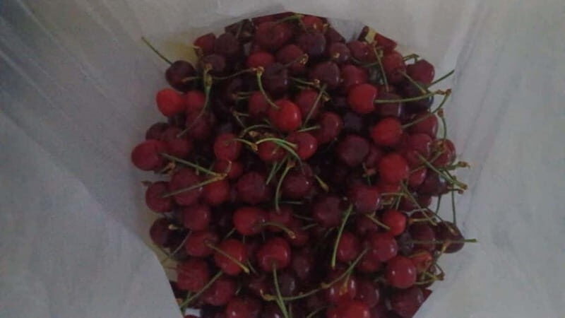 Berat: Farm-to-Table Cooking Class with Local Family - FAQ