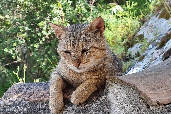 Berat Full Day Trip from Tirana - FAQ