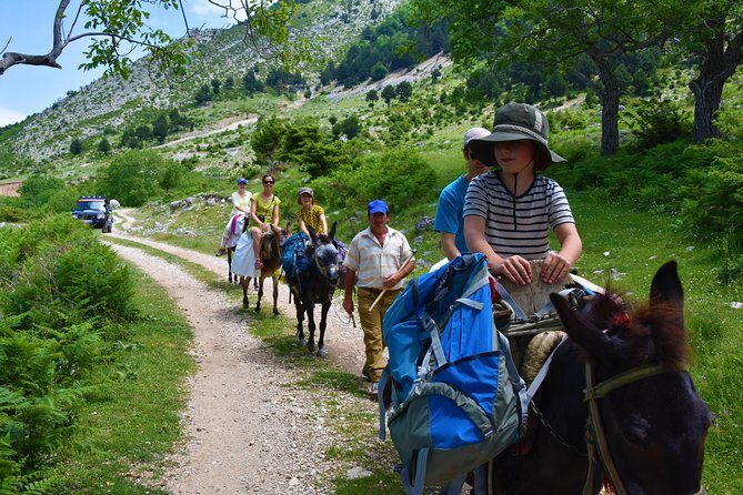 Berat Hiking Off Road picnic lunch in Tomori Holy Mount - A Deep Dive into the Berat Hiking Off Road Tour