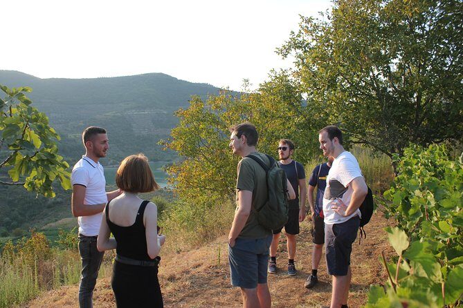 Berat to Bogove's Splendor: Waterfall Adventure & Wine Tasting - Who Should Consider This Tour?