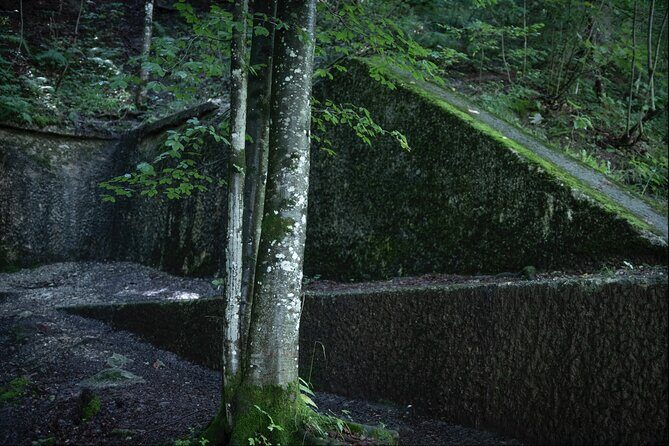Berchtesgaden-Obersalzberg Private Half Day WWII Historical Tour - The Sum Up