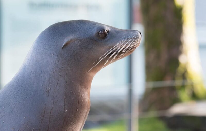 Bergen: Bergen Aquarium Entry Ticket - An In-Depth Look at Bergen Aquarium