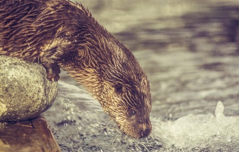 Bergen: Bergen Aquarium Entry Ticket - Frequently Asked Questions