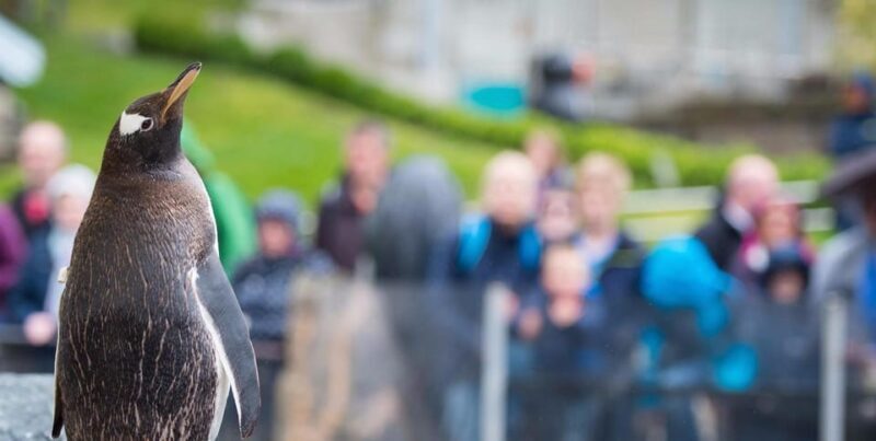 Bergen: Bergen Aquarium Entry Ticket - Final Words