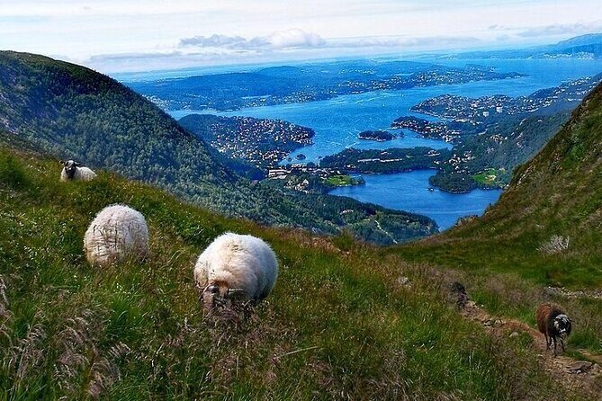 Bergen Classic Private hiking - Final Thoughts