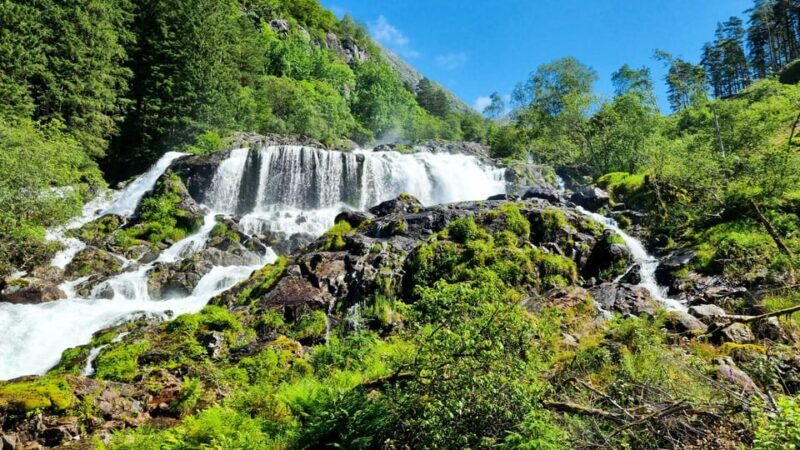 Bergen: Cruise to beautiful Rosendal by the Hardangerfjord - Key Points