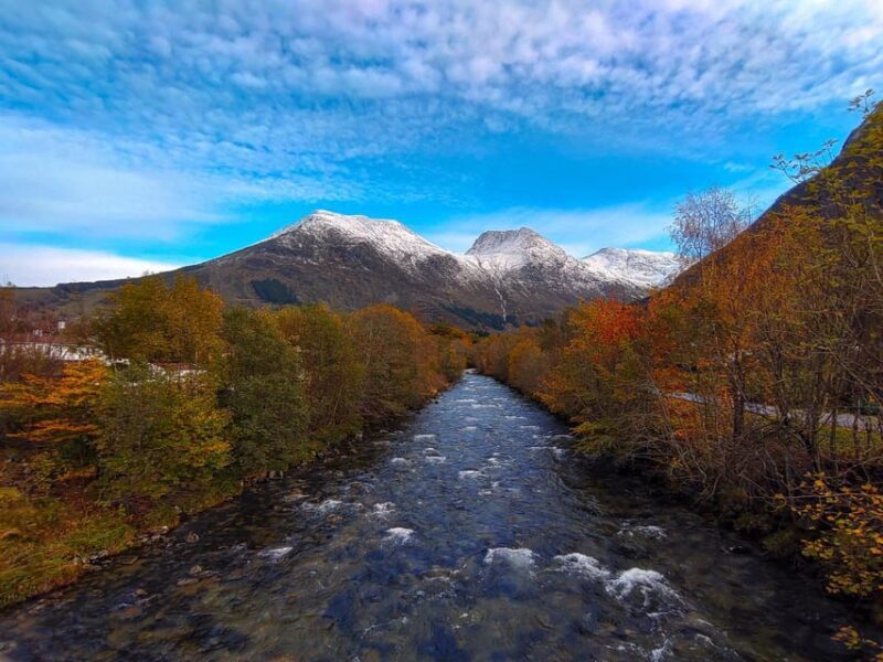 Bergen: Cruise to beautiful Rosendal by the Hardangerfjord - What Makes This Tour Stand Out?
