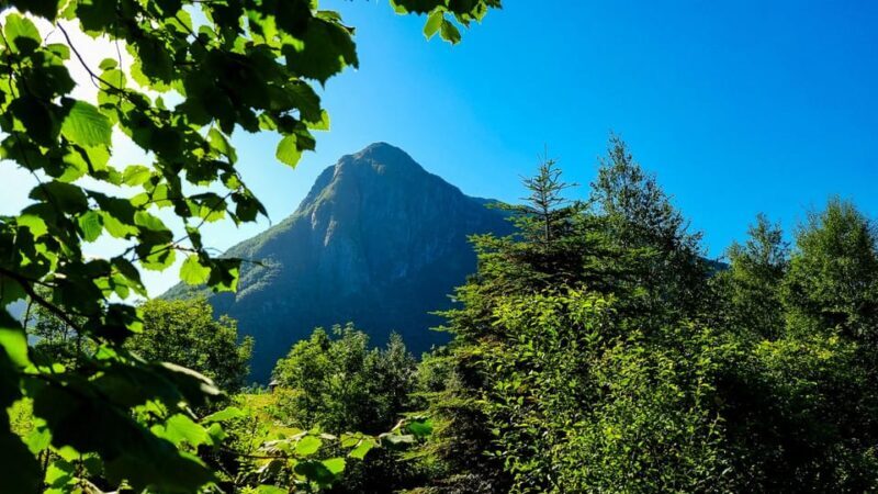 Bergen: Cruise to beautiful Rosendal by the Hardangerfjord - The Sum Up