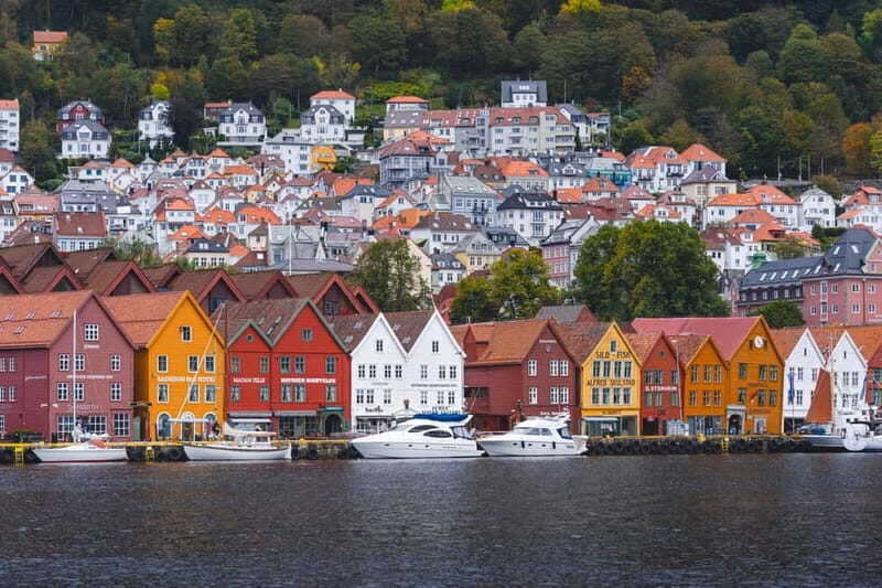 Bergen: Flam Railway, Viking Village Tour with Fjord Cruise - Who Should Consider This Tour?