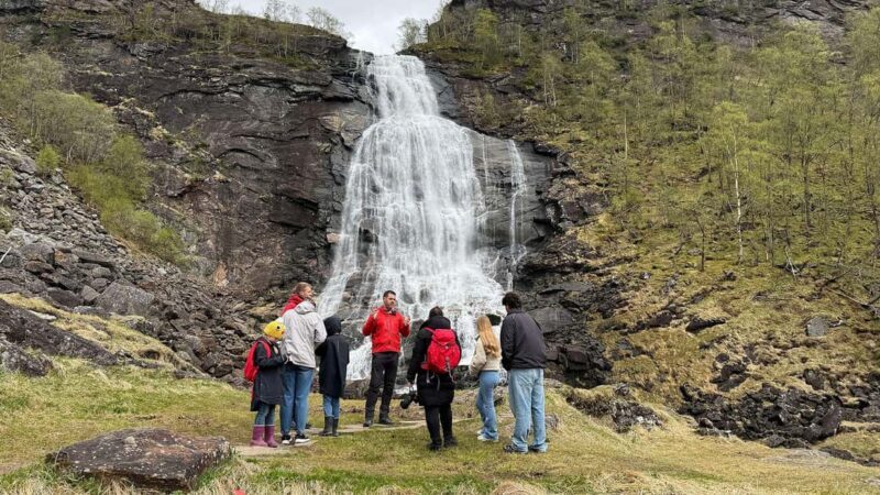Bergen: Hardangerfjord & Waterfalls Bus Tour with Apple Pie - Final Thoughts