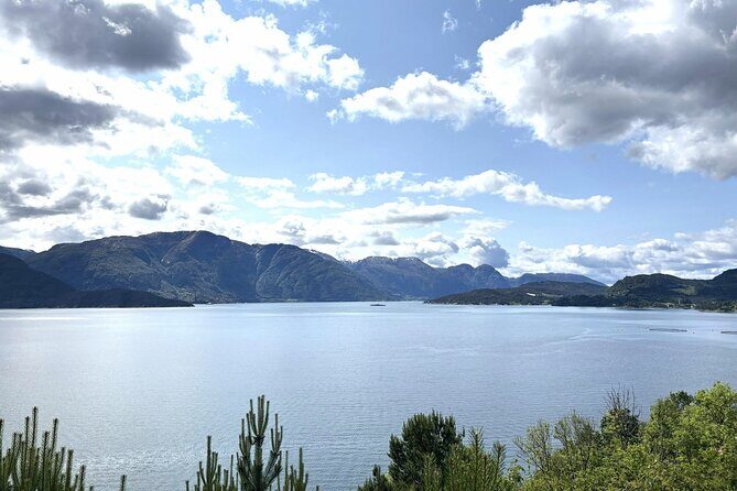 Bergen: Hardangerfjord, Waterfalls, Culture & Apple pie - Return Journey via Kvamskogen