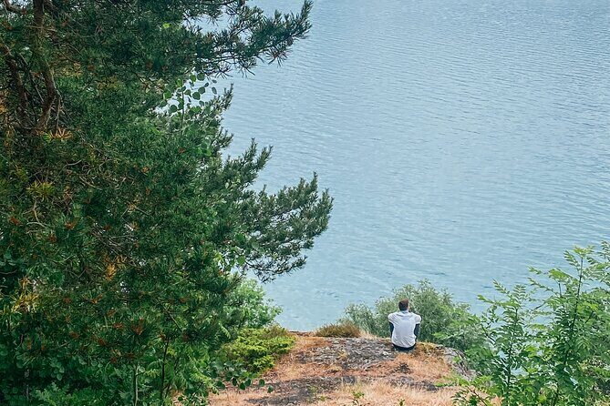 Bergen in a day, Guided tour: Old Town, Waterfalls & Waffles - Authentic Experiences and Hidden Gems