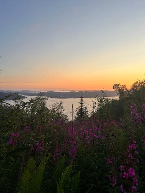 Bergen Magical Nature Tour | ViFlowExperience - Introduction