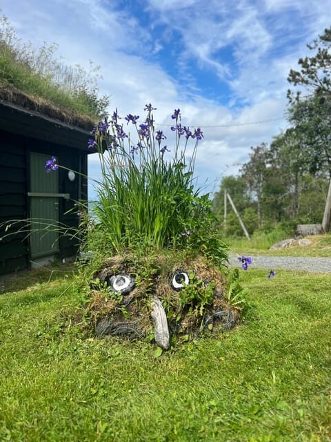 Bergen Magical Nature Tour | ViFlowExperience - Key Points