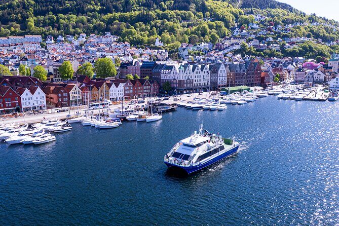 Bergen Mostraumen Fjord Cruise with Local Guide - Who Is This Tour For?