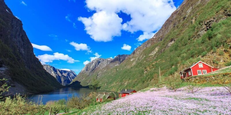 Bergen: Nærøyfjorden, Flåm, and Stegastein Guided Bus Tour - The Nærøyfjord Cruise