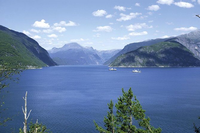 Bergen: Private Full-Day Roundtrip to Hardangerfjord with cruise - Final Thoughts