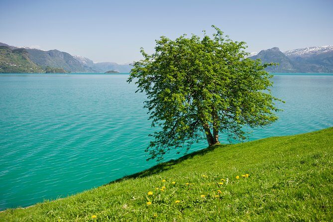 Bergen: Self-Guided Roundtrip (Sognefjord Cruise 5h & Flamsbana) - The Full Breakdown of Your Day in Norway