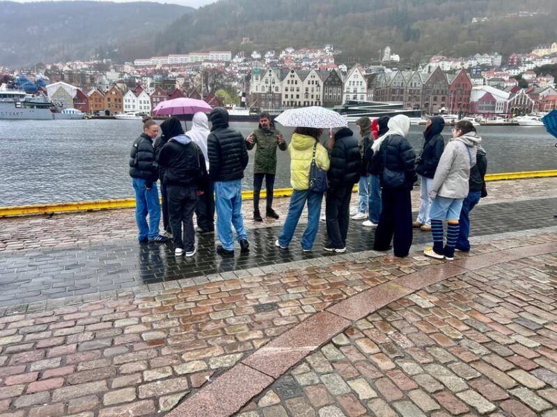 Bergen: Sightseeing Walking Tour with Ferry Ride - Main Landmarks and Local Culture