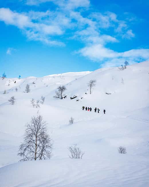 Bergen: Snowshoe Hike - An In-Depth Look at the Bergen Snowshoe Hike