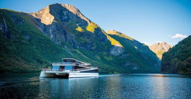 Bergen to Oslo: Private Nærøyfjord Cruise and Flåm Railway - Final Thoughts: Who Will Love This Tour?