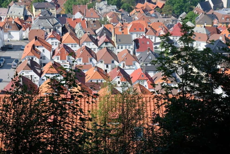 Bergen: Urban Mountain Hiking and History Tour - A Walk Through Bergen’s Historic Neighborhoods