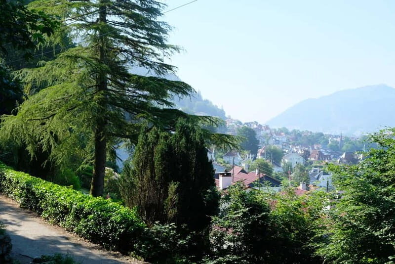 Bergen: Urban Mountain Hiking and History Tour - Who Is It Best For?