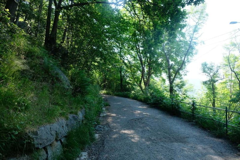Bergen: Urban Mountain Hiking and History Tour - Final Thoughts