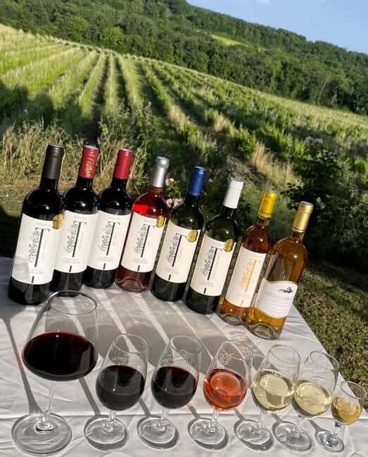 Bergerac: Wine Tasting at Chateau Lestevenie - Key Points