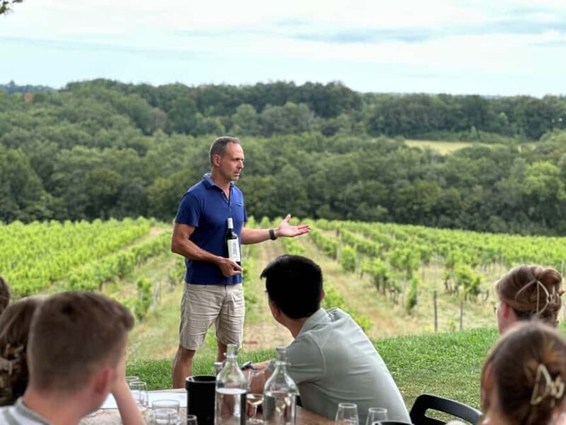 Bergerac: Wine Tasting at Chateau Lestevenie - A Detailed Look at Chateau Lestevenie’s Wine Tasting Tour