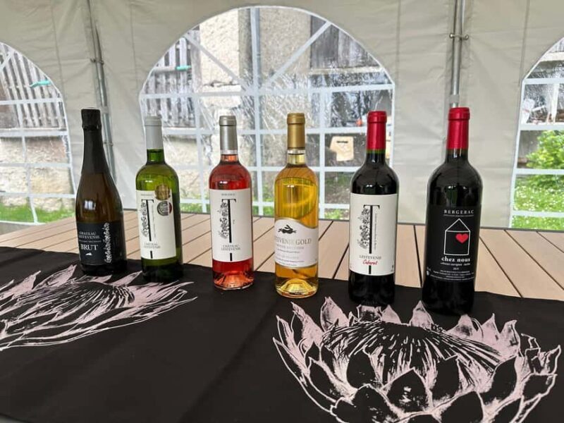Bergerac: Wine Tasting at Chateau Lestevenie - Practical Information at a Glance