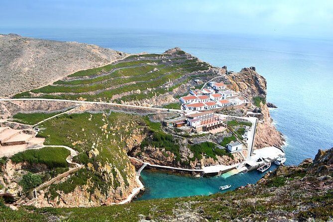 Berlenga Grande Island Private Tour from Lisbon - Who Will Love This Tour?