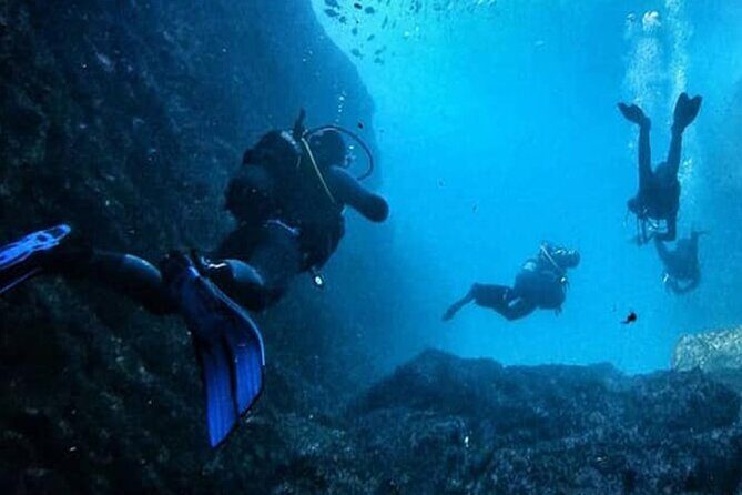 Berlenga Grande Island Private Tour from Lisbon - FAQ