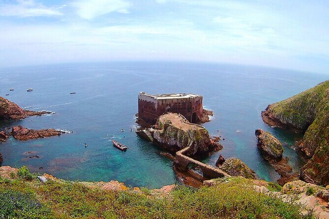 Berlengas Island Catamaran Tour - Round Trip - Detailed Review: What to Expect from the Berlengas Island Catamaran Tour