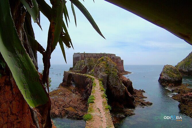 Berlengas Island Catamaran Tour - Round Trip - FAQ