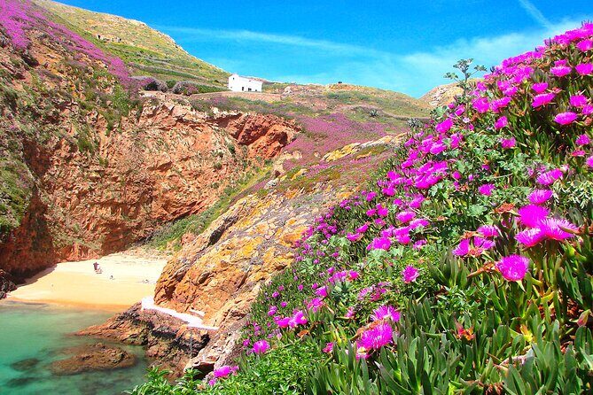 Berlengas Island Catamaran Tour + Snorkeling - What the Reviews Say