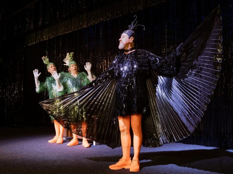 Berlin: DISTEL - The capital cabaret - Final Verdict: Who Should Consider Visiting DISTEL?