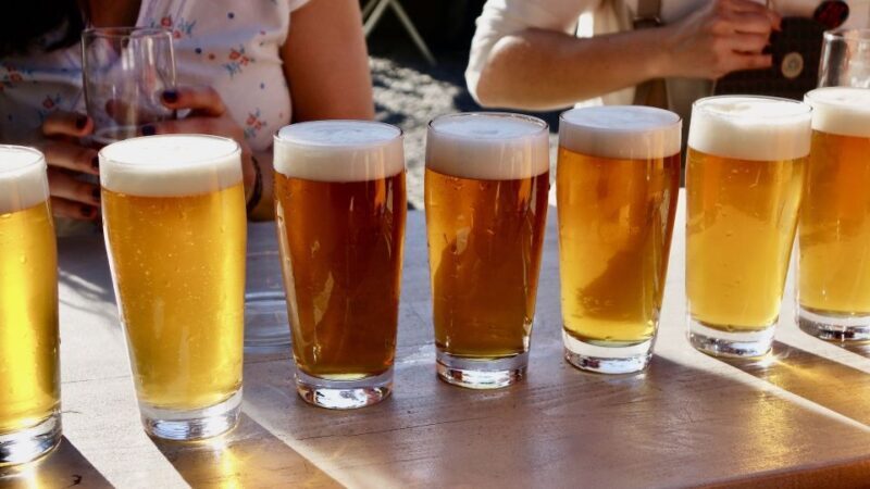 Berlin: Guided Craft Beer & Cultural Tour With Snacks - Discover Berlin’s Hidden Craft Beer Gems with a Guided Cultural Tour