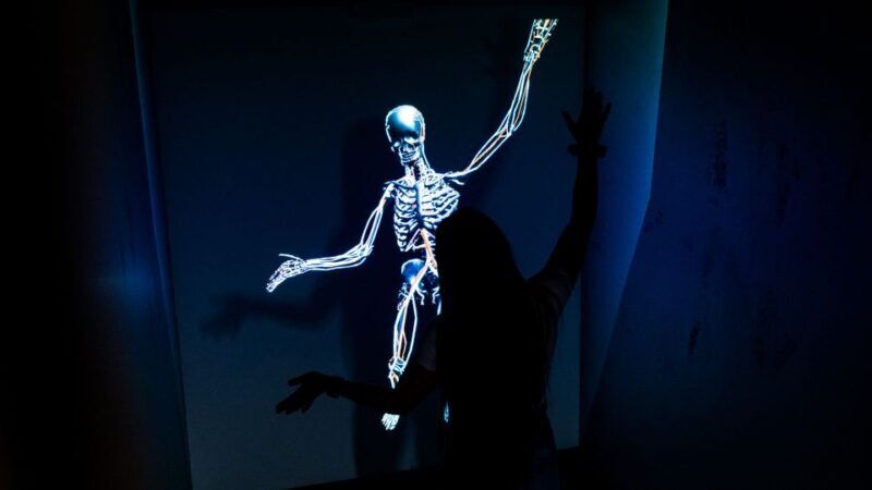 Berlin: Interactive DeJa Vu Museum Entrance Ticket - Key Points  