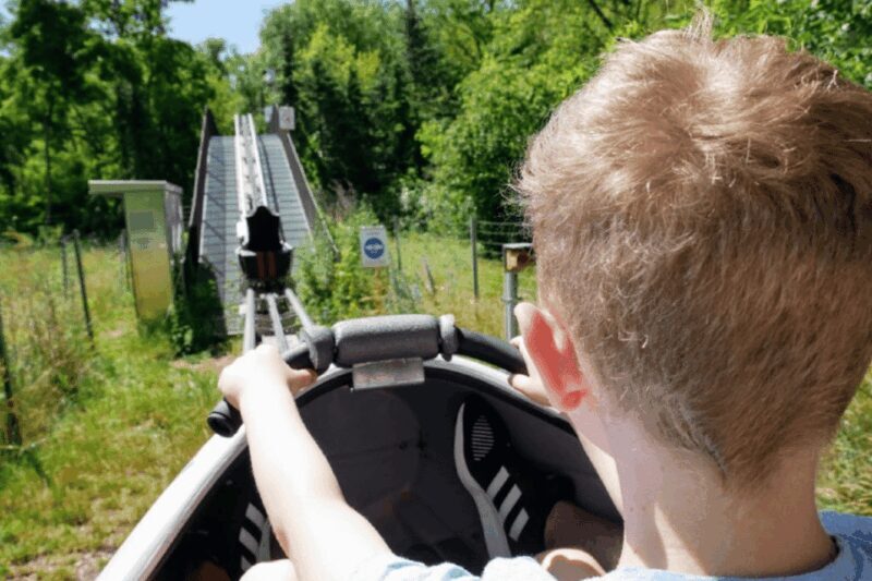 Berlin: Nature Bobsled Run Ticket - Price and Value Analysis