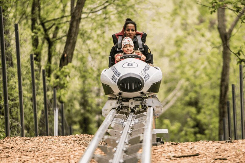 Berlin: Nature Bobsled Run Ticket - Recent Visitor Feedback and Insights