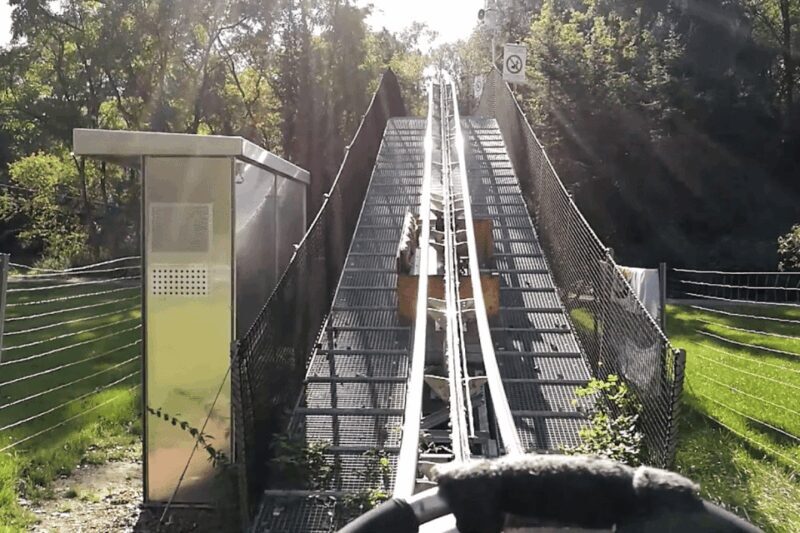 Berlin: Nature Bobsled Run Ticket - Practical Tips for Your Visit